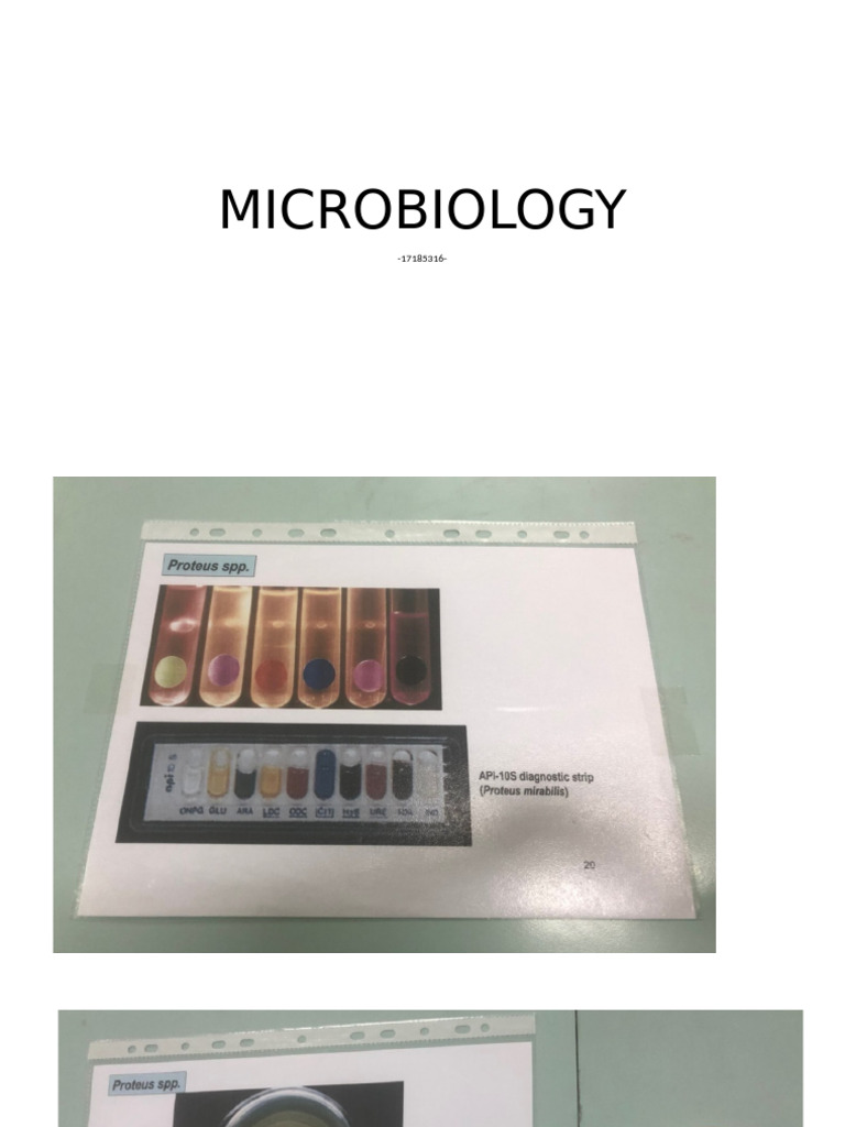 MICROBIOLOGY | PDF