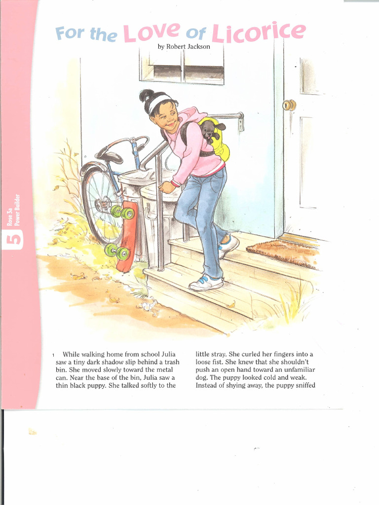 3a Pink Sample Ro05 | PDF