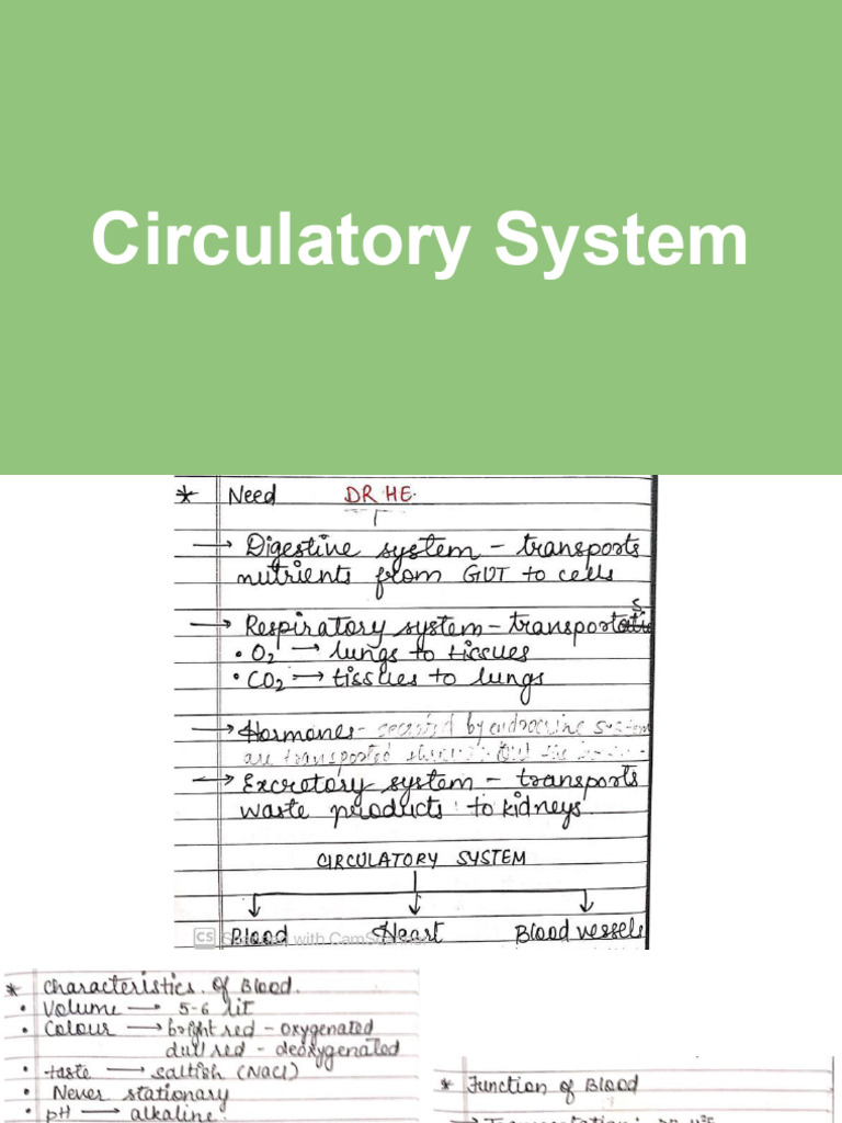 Circulatory | PDF