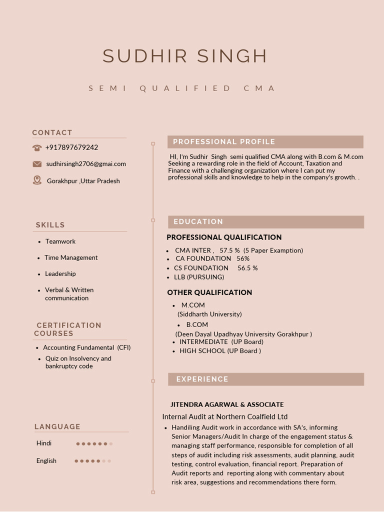 CV Sudhir Singh | PDF