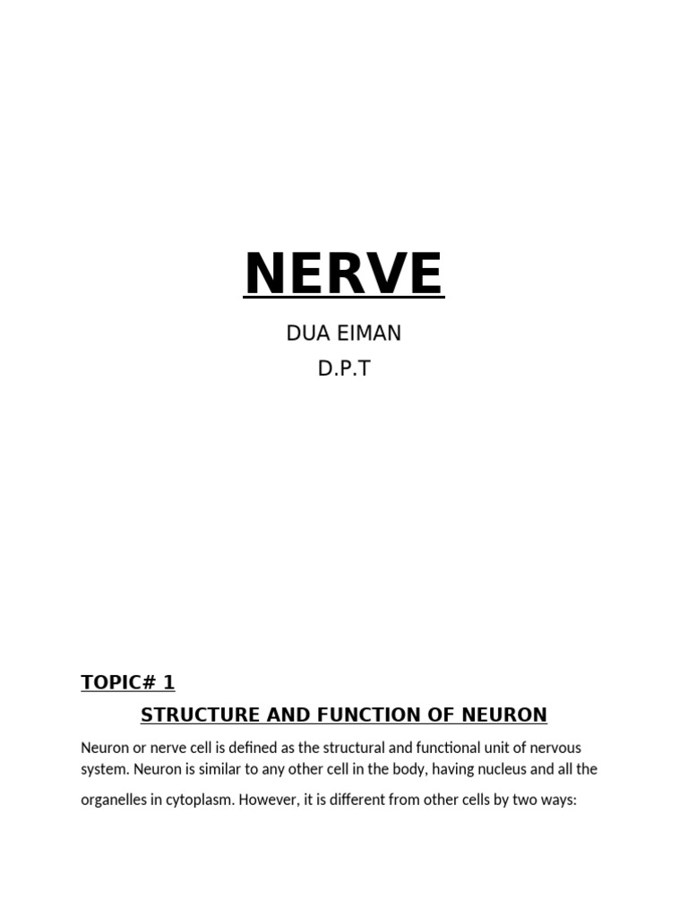 NERVE | PDF | Chemical Synapse | Action Potential