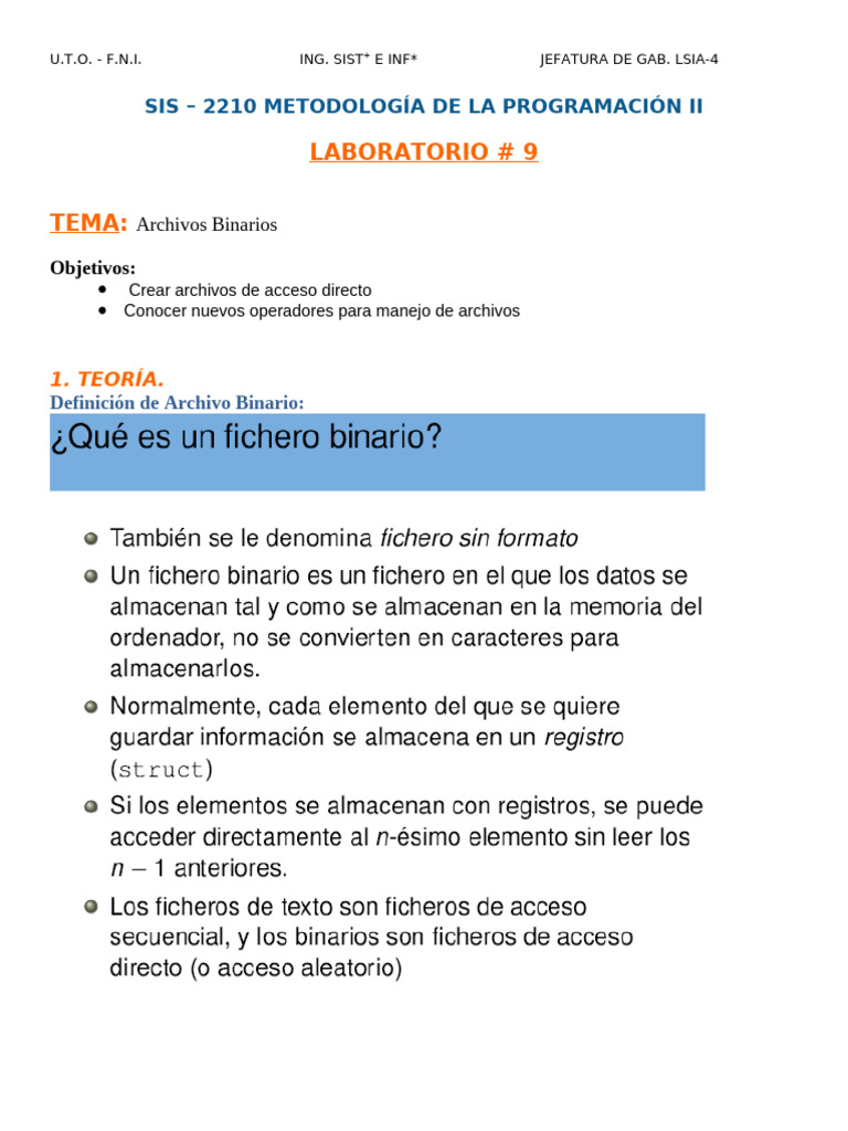 Lab 9 Archivos Binarios Binarios SEM 1 2024 | PDF | Ingeniería de software | Datos de computadora