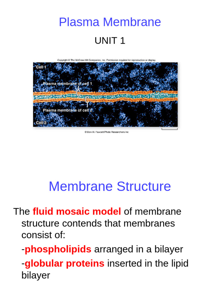Cell | PDF | Cell Membrane | Osmosis