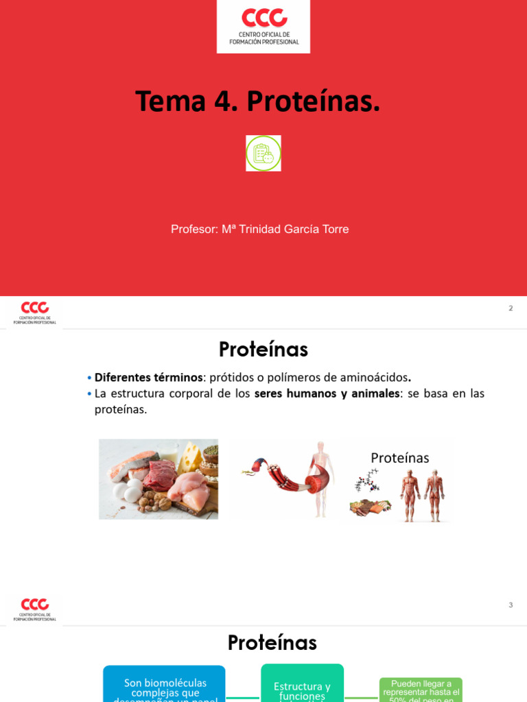 Presentación Alimentación. Tema 4 - CCC | PDF | Proteínas | Estructura ...