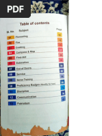 MiniPioneering 1 | PDF | Scouting | Knot