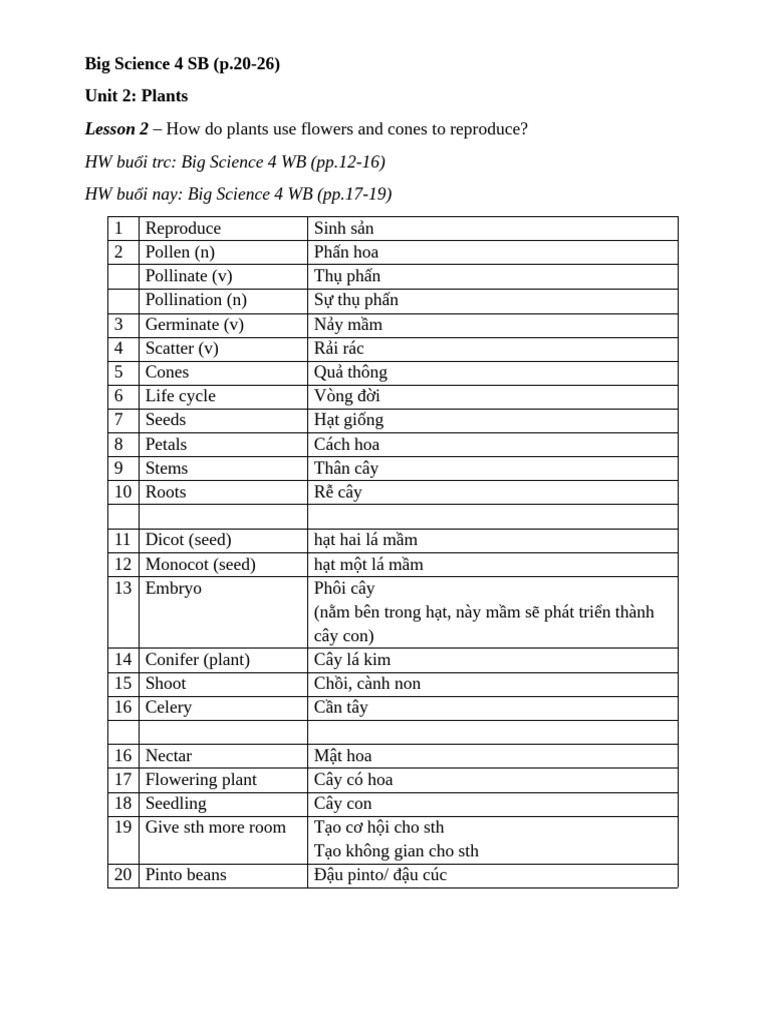Big Science 4 - Lesson 2 U2 Vocab | PDF