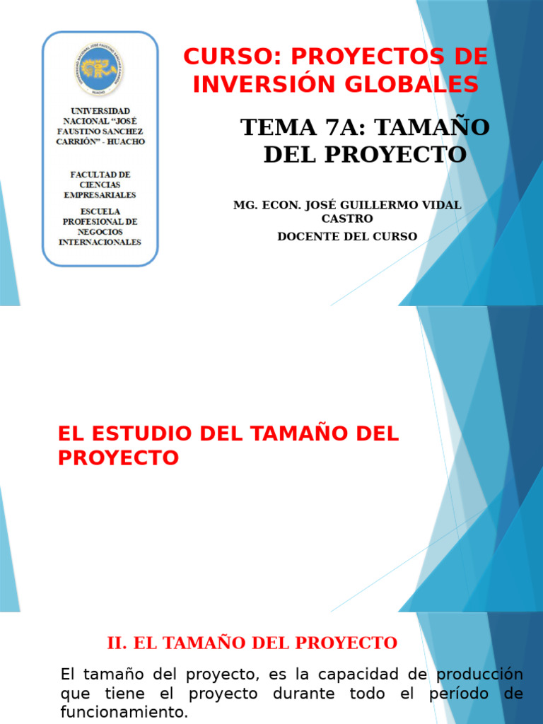 Tema 7a. Tamaño Del Proyecto | PDF | Mercado (economía) | Inversiones