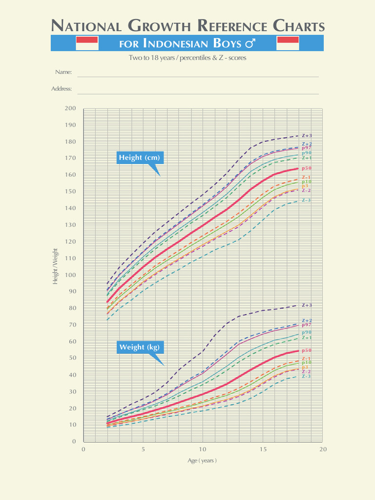 Indonesian Boys Growth Charts | PDF