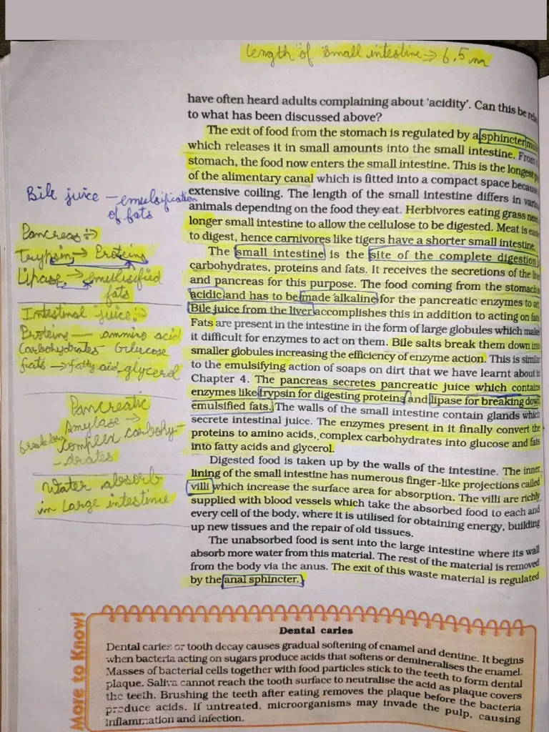 Science Notes | PDF