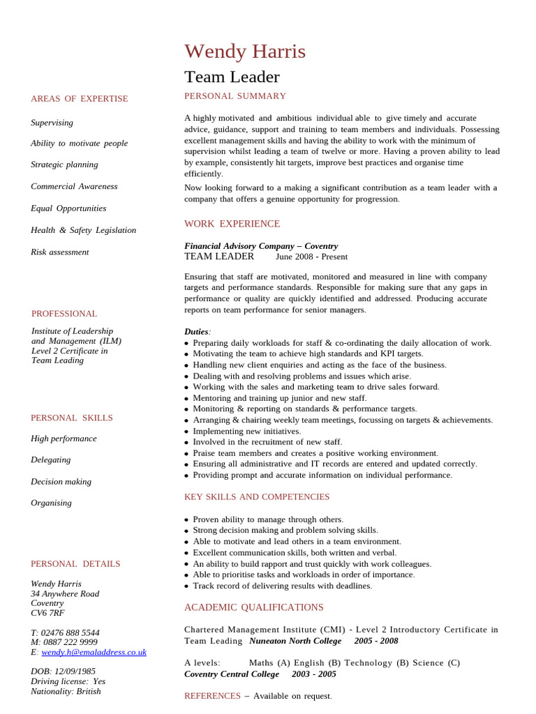 Team Leader CV Sample | PDF | Business