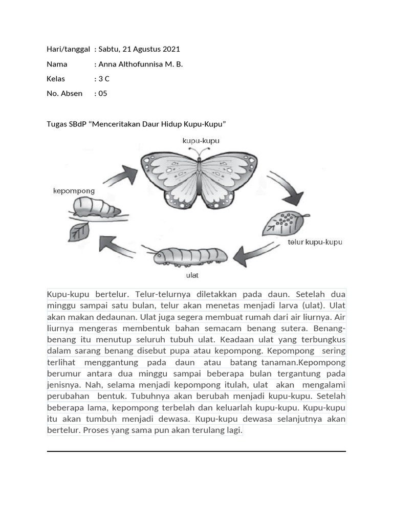 Daur Hidup Kupu Kupu | PDF | Sains & Matematika