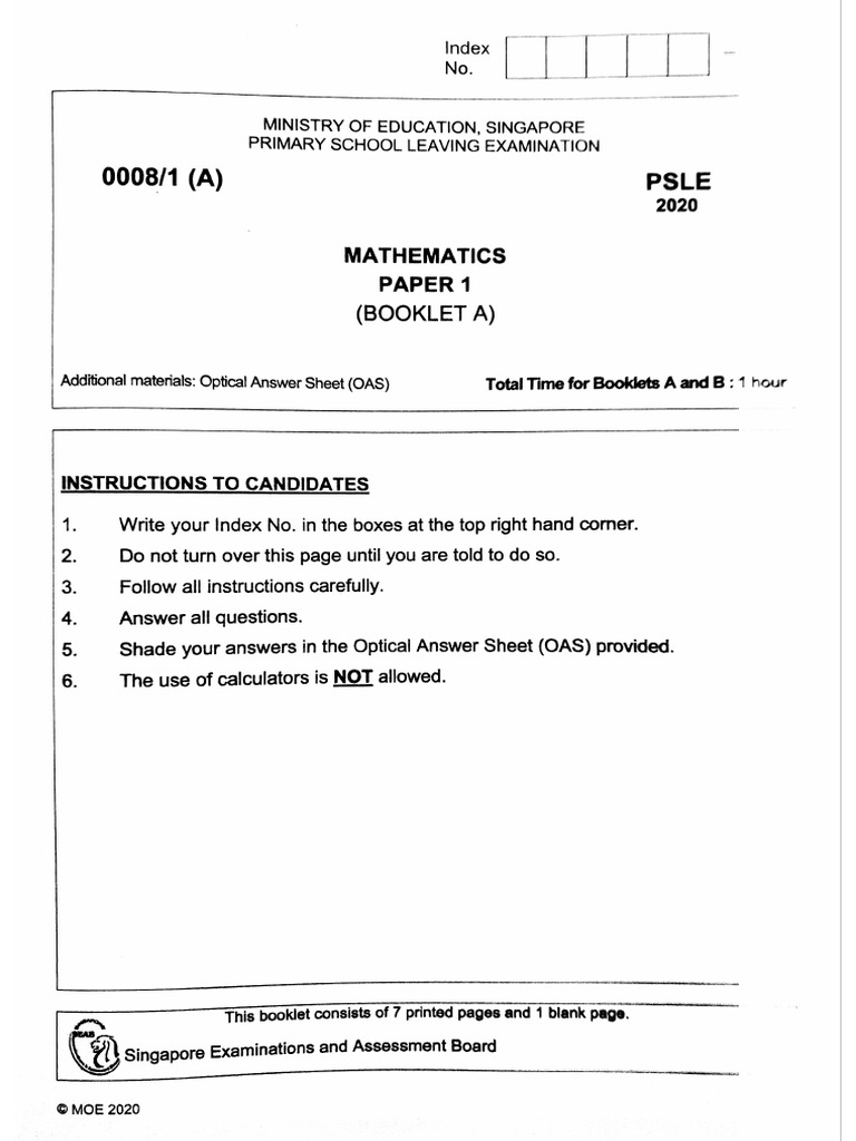 PSLE 2020 Maths | PDF