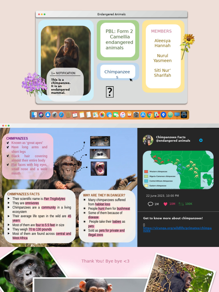 BI Presentation Endangered Animals | PDF | Science & Mathematics