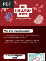 Fish Circulatory System Overview | PDF | Blood | Vein