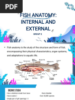 Swim Bladder Function in Perch Fish | PDF | Fin | Fish