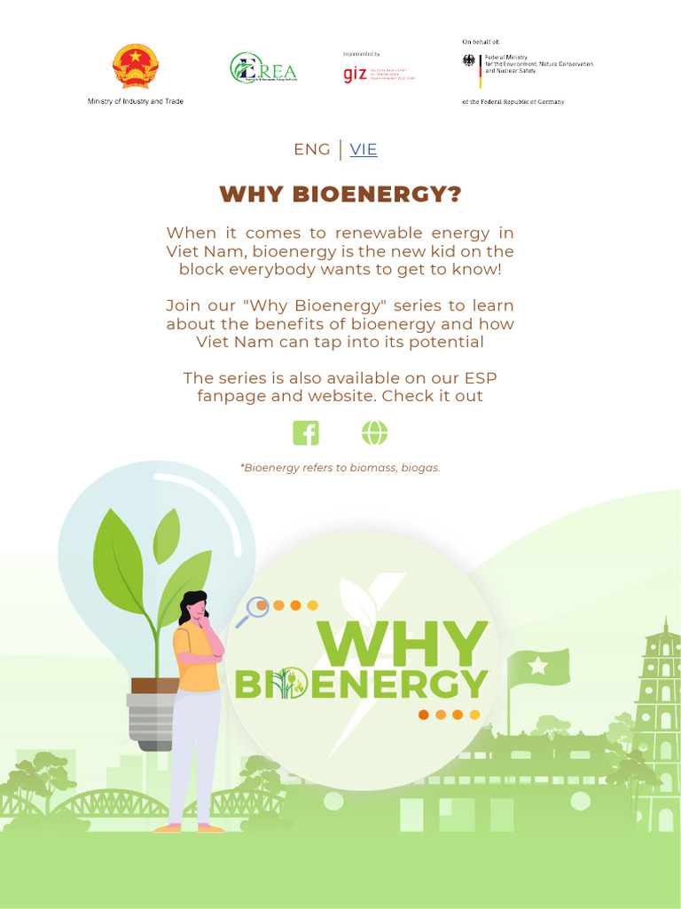 All About Bioenergy Handbook | PDF | Bioenergy | Power Resources