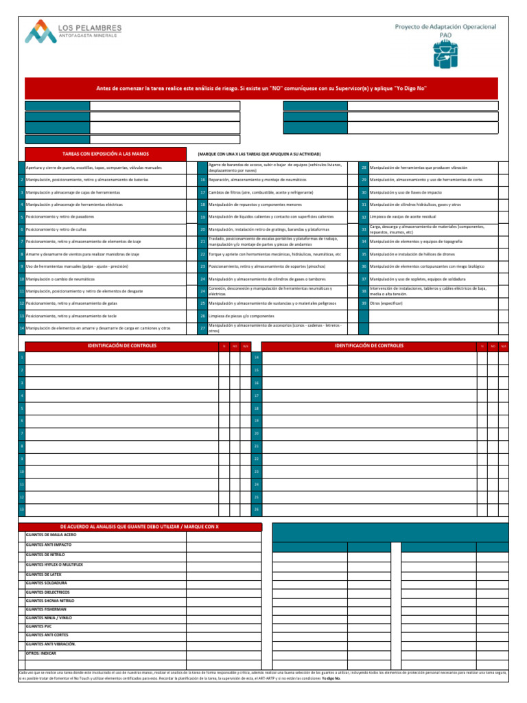 CHECK LIST EXPOSICIOìN DE MANOS 2024 PAO v2 | PDF | Guante