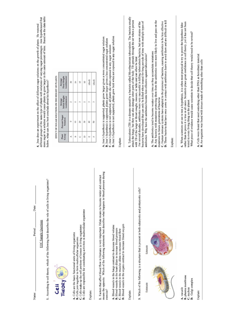 Homework - EOC Sample - Questions | PDF