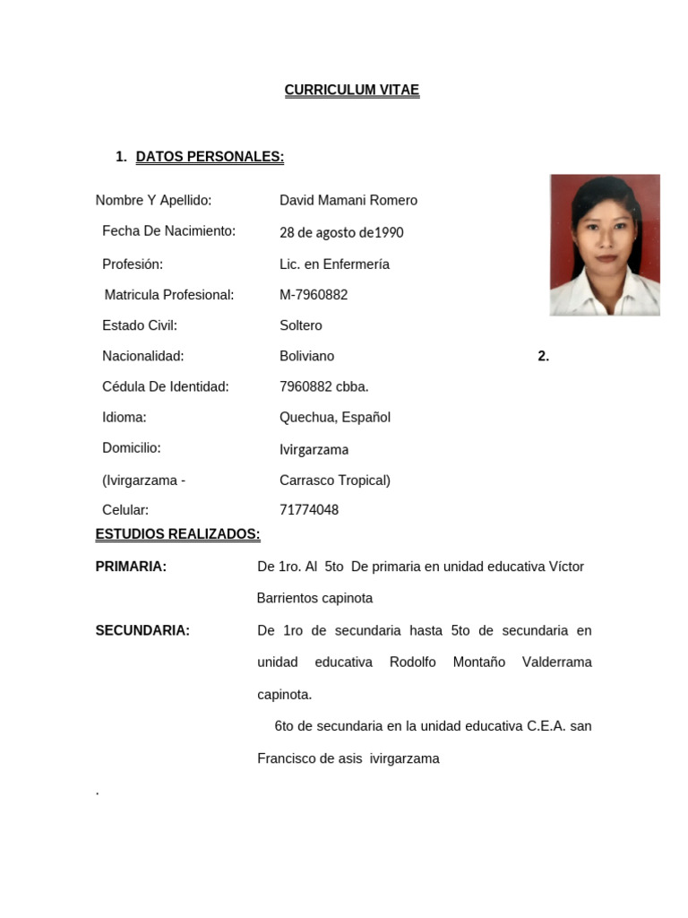 Currículum Vitae de David Mamani Romero | PDF | Etapas educativas