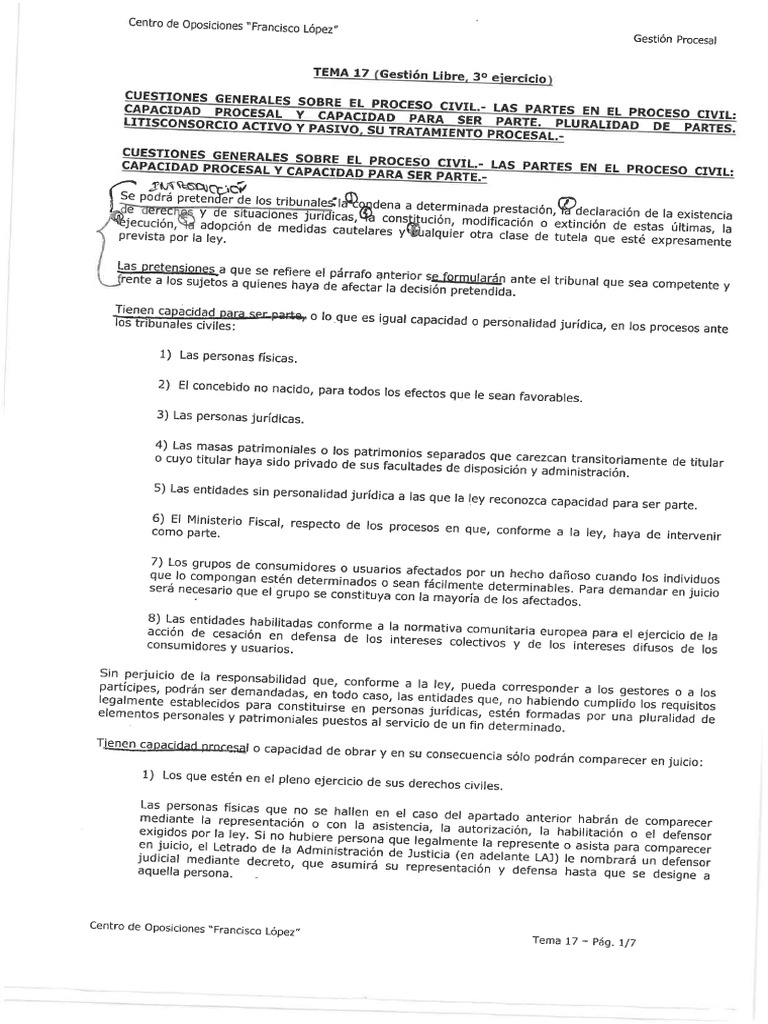 Tema 17 Cuestiones Grales Proc - Civil | PDF