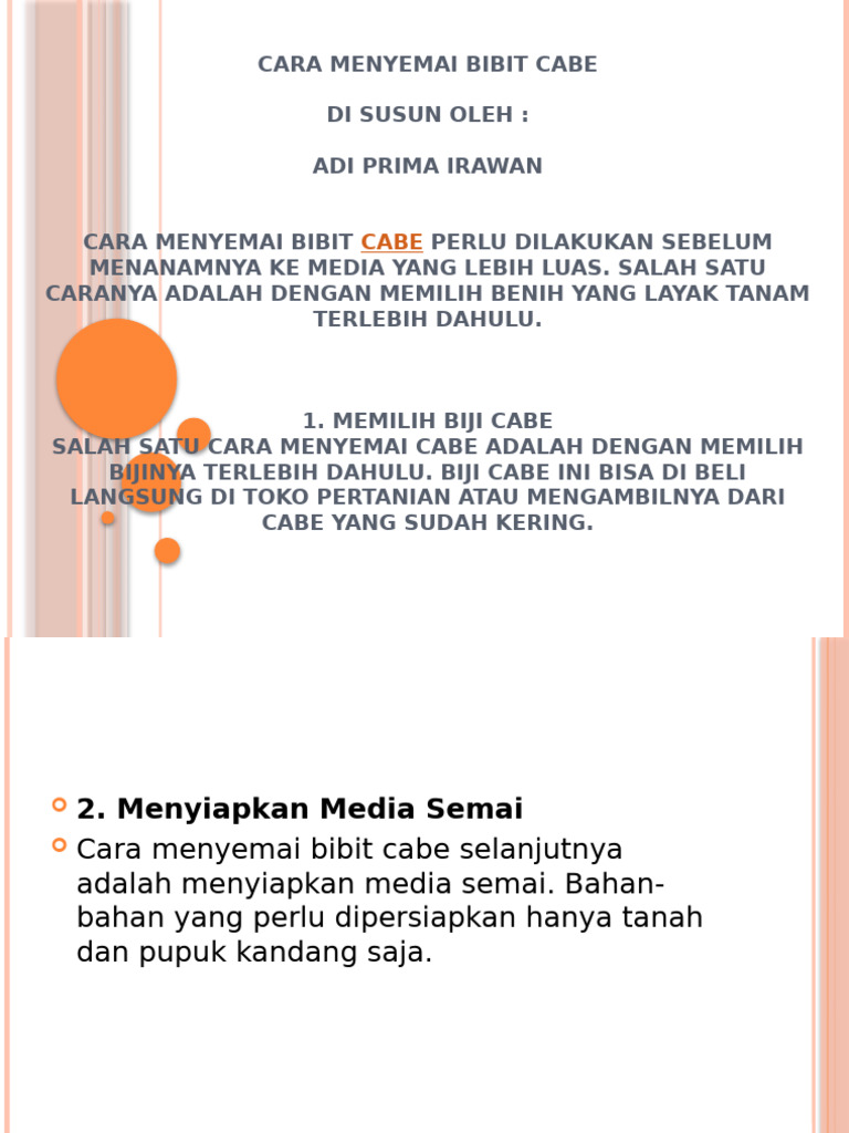 Power Point CARA MENYEMAI BIBIT CABE | PDF