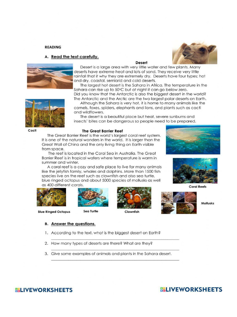 Comp and Superl - Reading C Practice Pret | PDF