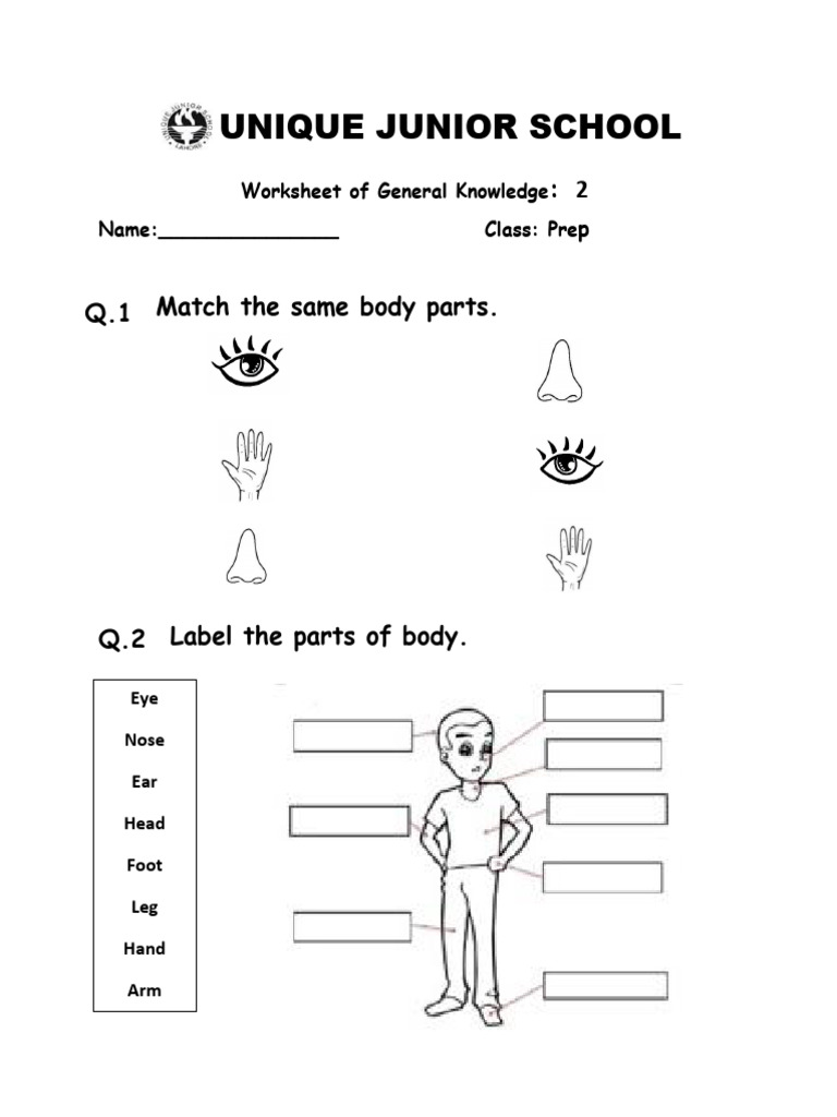 Worksheet 2 GK | PDF | Self-Improvement