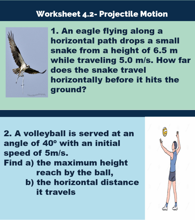 Worksheet 4 2 - PROJECTILE MOTION | PDF