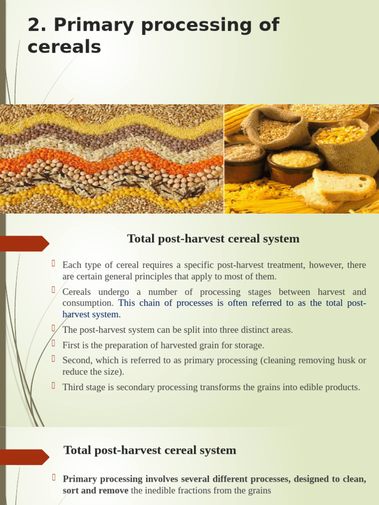 LECTURE 2 | PDF | Humidity | Cereals