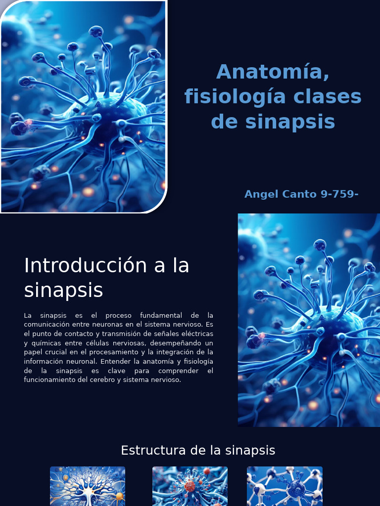 Sinapsis | PDF | Sinapsis | Neurona