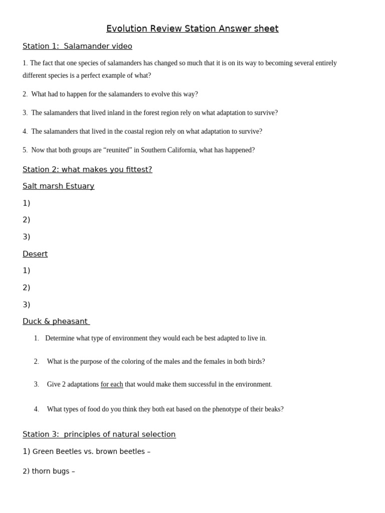 Evolution Study Guide Answers | PDF