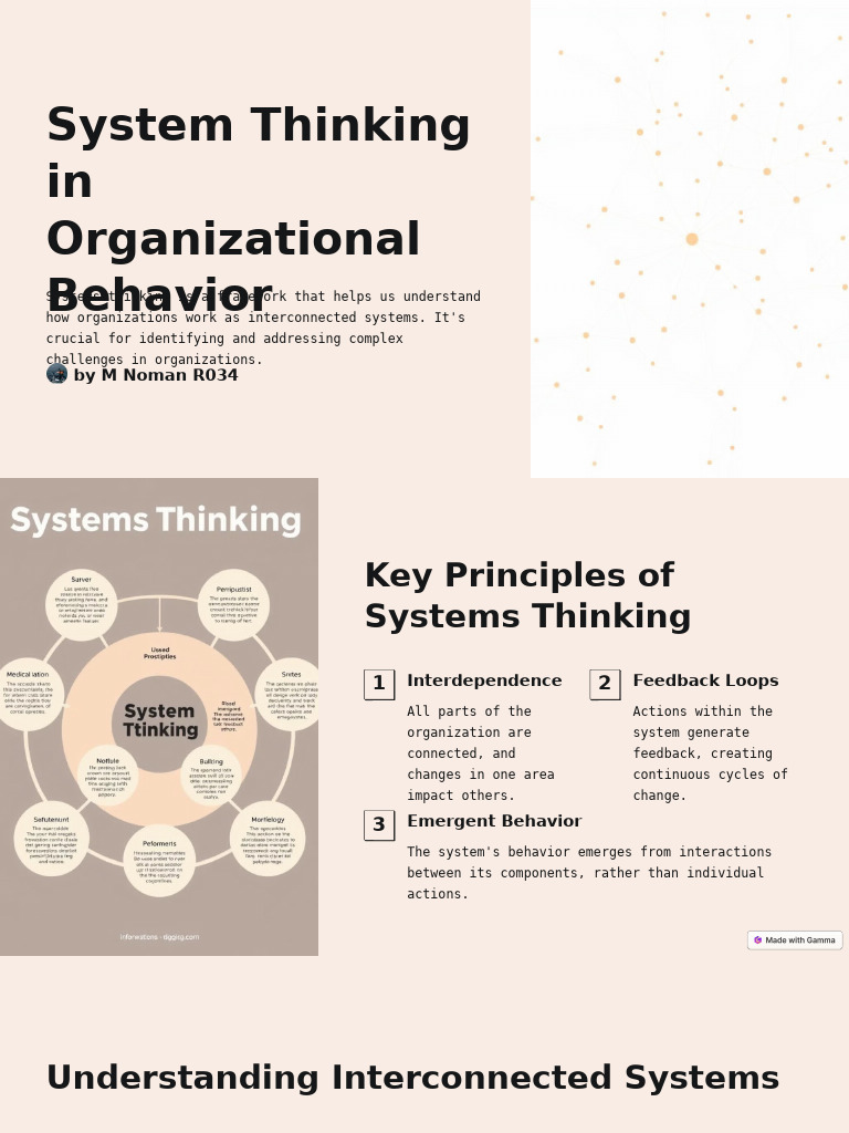 Systems Thinking in Organizational Behavior | PDF | System | Feedback