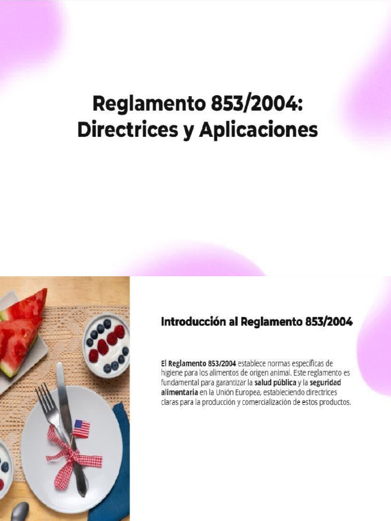 Reglamento 8532004 | PDF