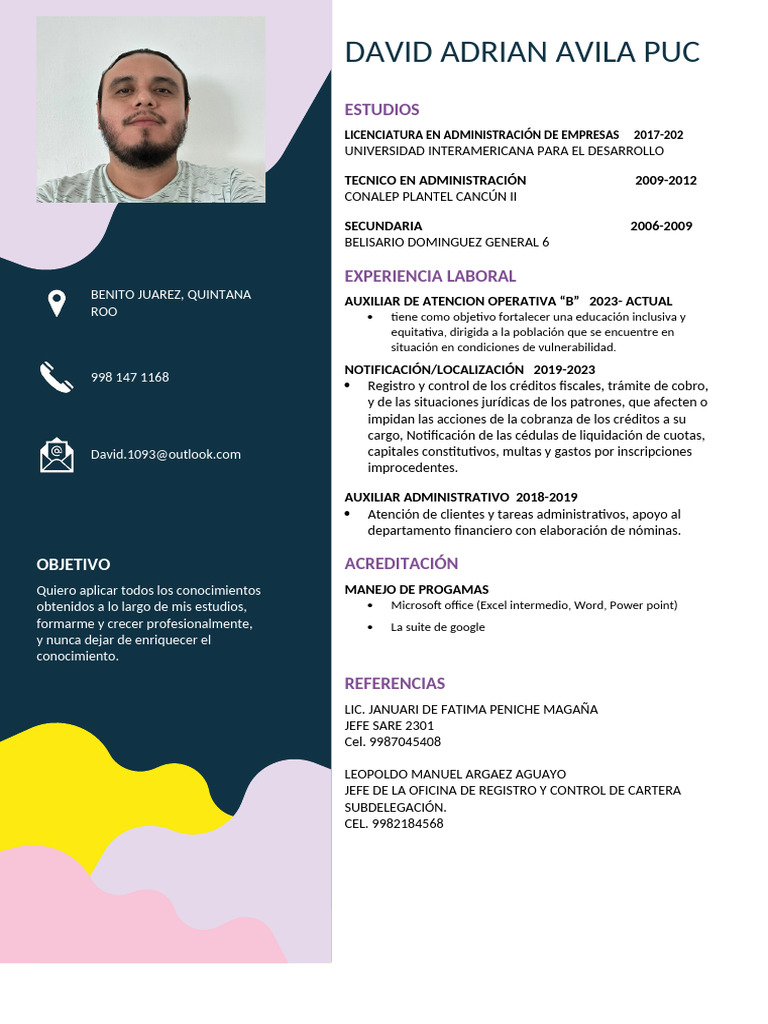 David Avila Puc. CV Acualizado. | PDF