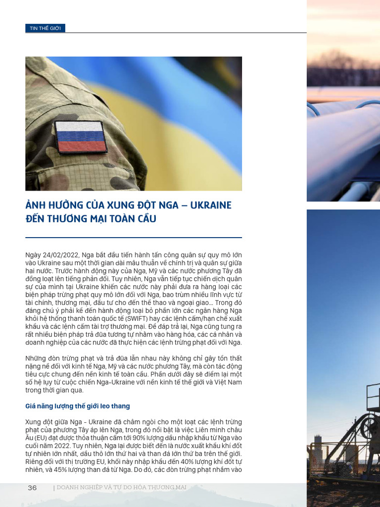 10 - Anh Huong Cua Xung Dot Nga-Ukraine | PDF