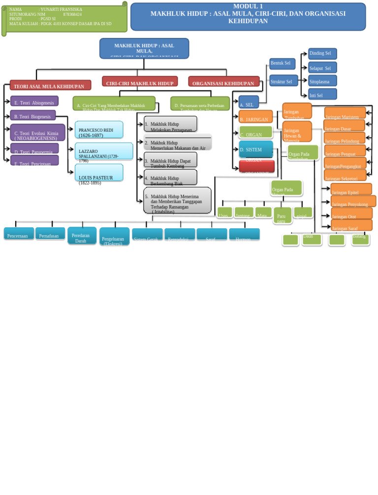 Peta Konsep Modul 1 | PDF | Sains & Matematika