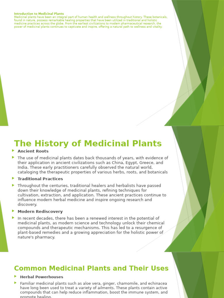 Introduction To Medicinal Plants | PDF | Medicine | Health Care