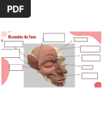 Nomes de 100 Músculos Do Corpo Humano | PDF | Sistema Locomotor ...