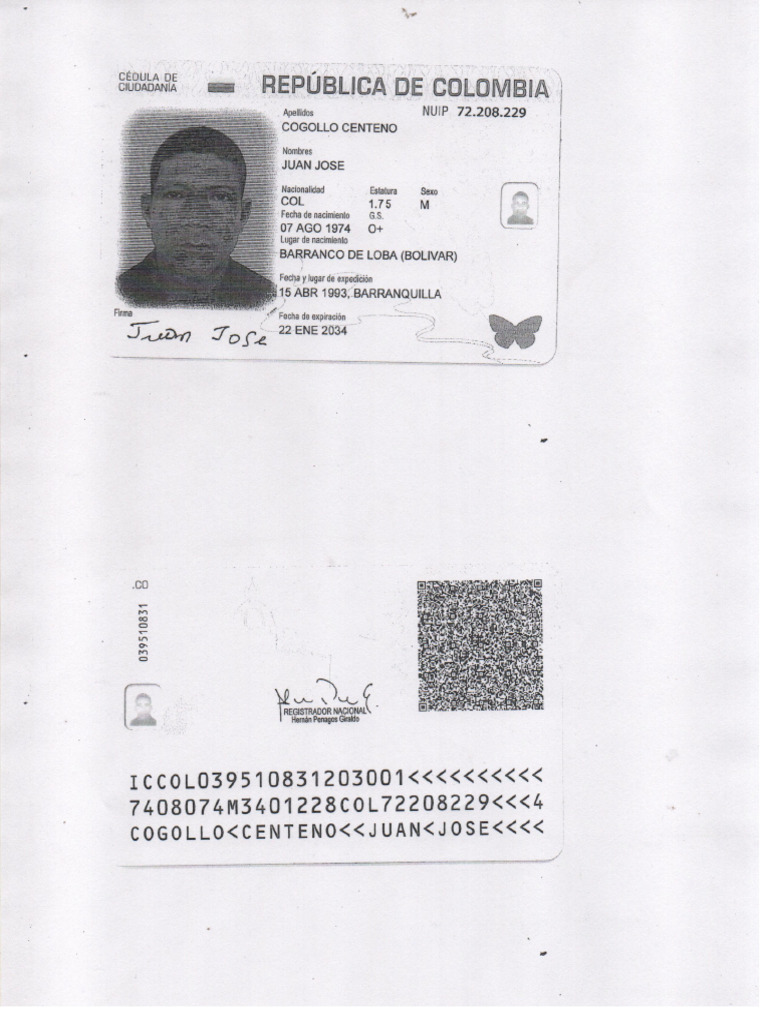 Cedula P | PDF