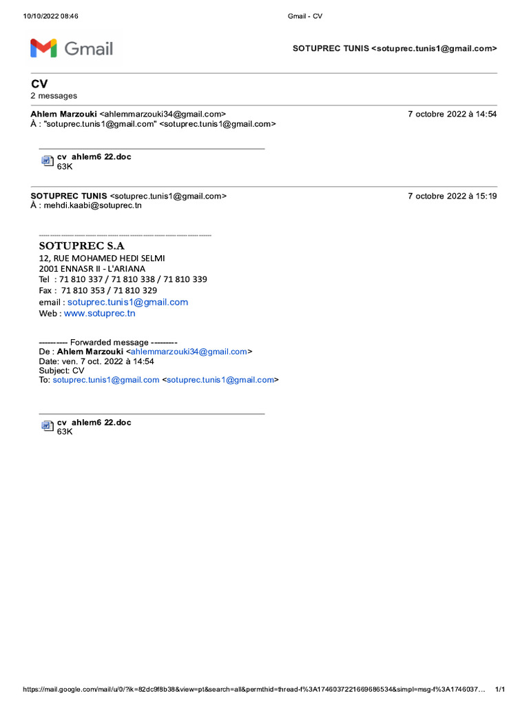 Gmail - CV | PDF