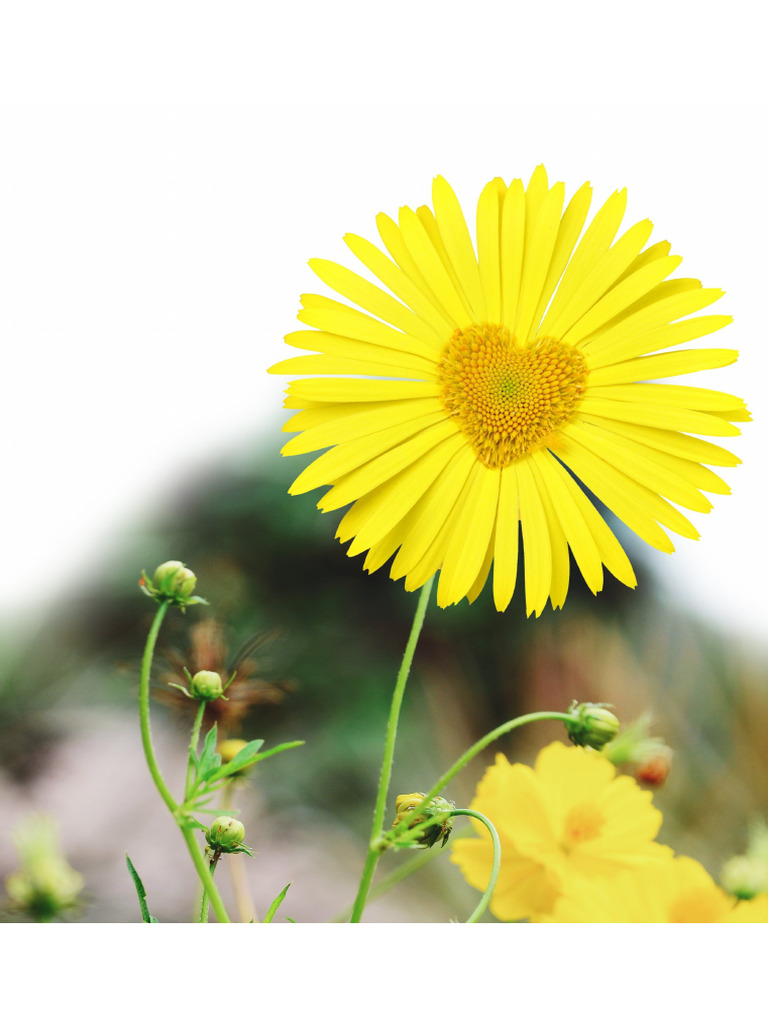 PDFReader 20241115 0001 | PDF