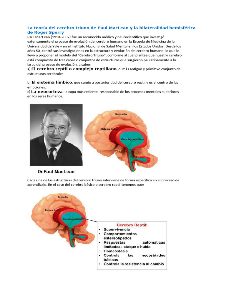 La Teoría Del Cerebro Triuno de Paul MacLean y La Bilateralidad ...