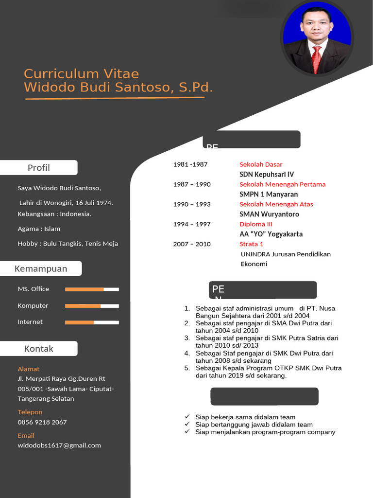 CV Widodo | PDF