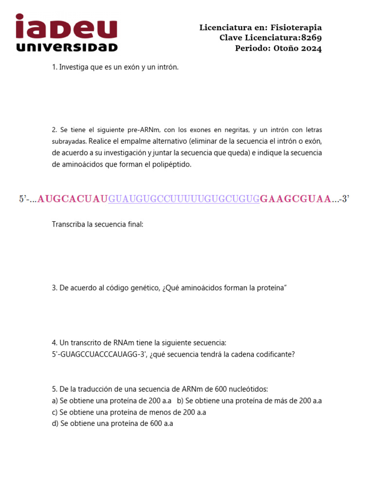 Actividad de Traducción | PDF