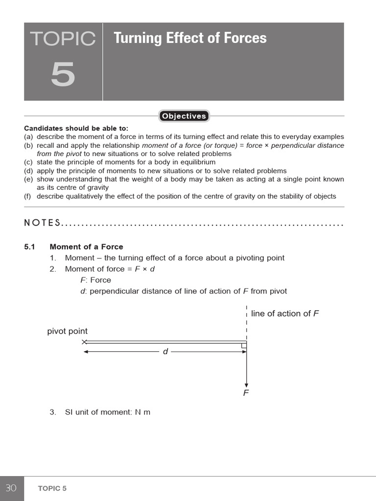 Turning Effect of Forces | PDF | Torque | Force
