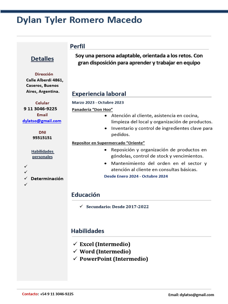 CV de Dylan Tyler Romero Macedo | PDF