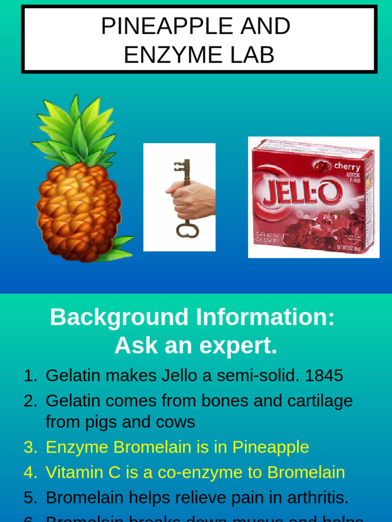Pineapple Lab 2016 | PDF | Gelatin | Pineapple