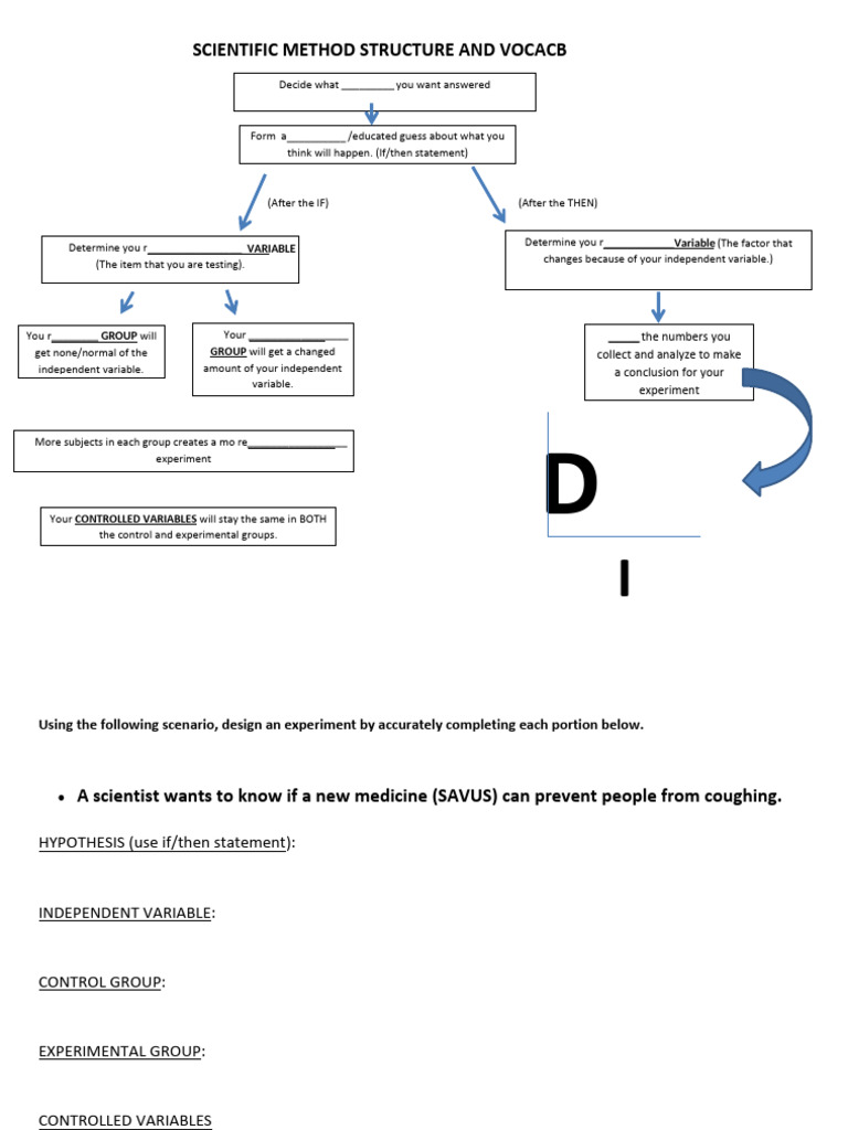 Scientific Method Structure and Vocab | PDF | Computers