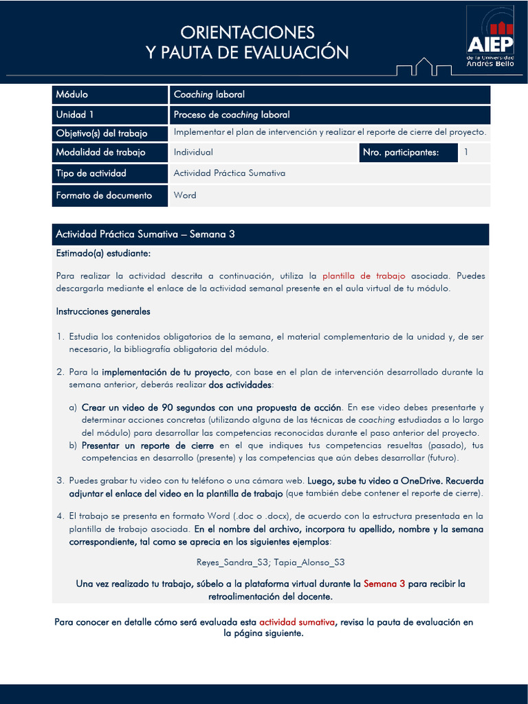 Descarga Las Orientaciones y Pauta de Evaluación de La Actividad Aquí 2 | PDF