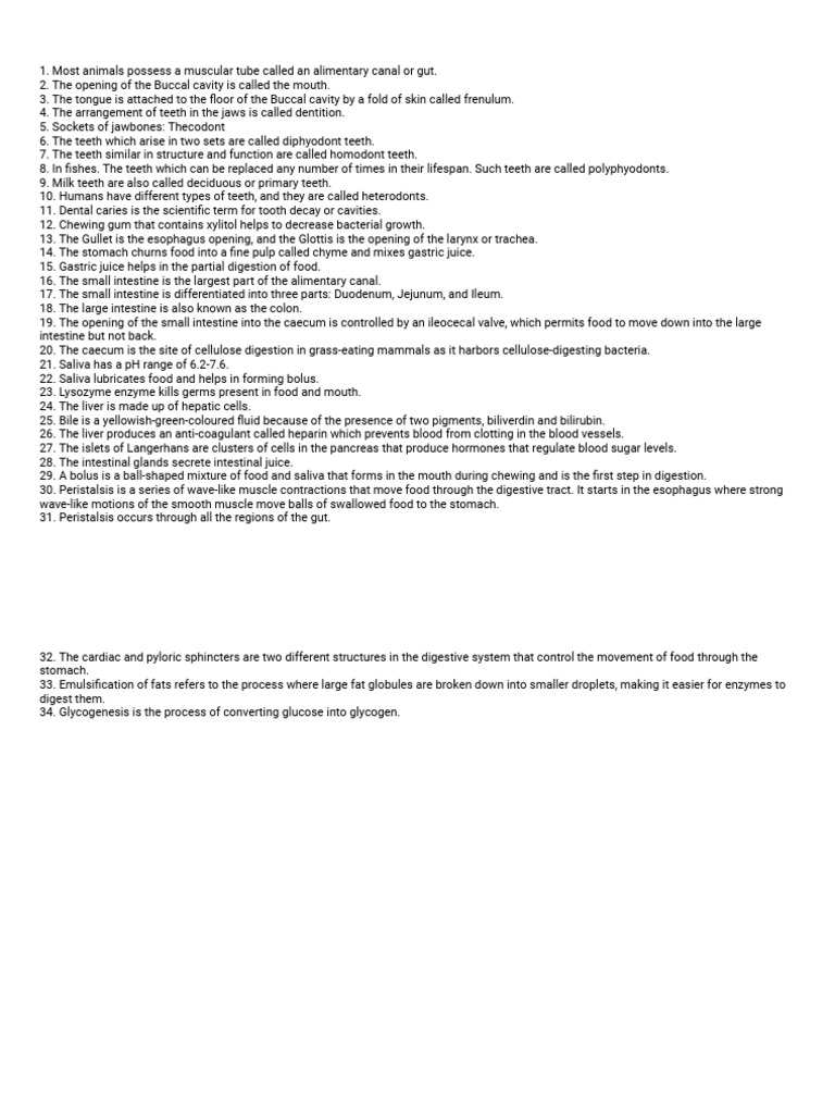 Digestive System in Humans | PDF | Gastrointestinal Tract | Digestion
